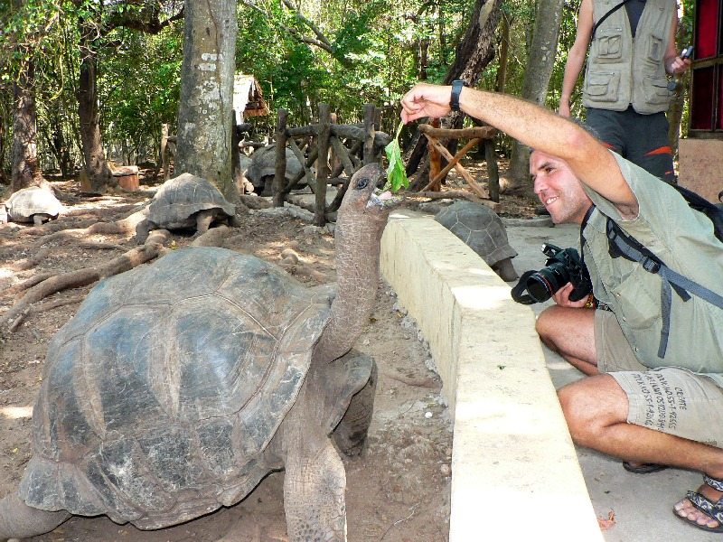 Zanzibar Giant Turtles – Kumbikumbi Adventures