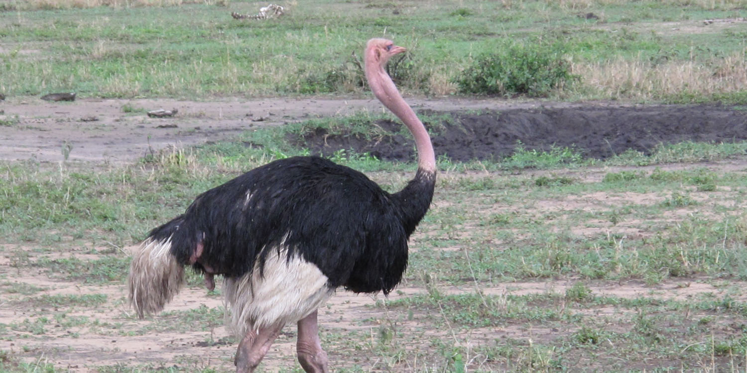 Kumbikumbi Adventures – Beyond Expectation